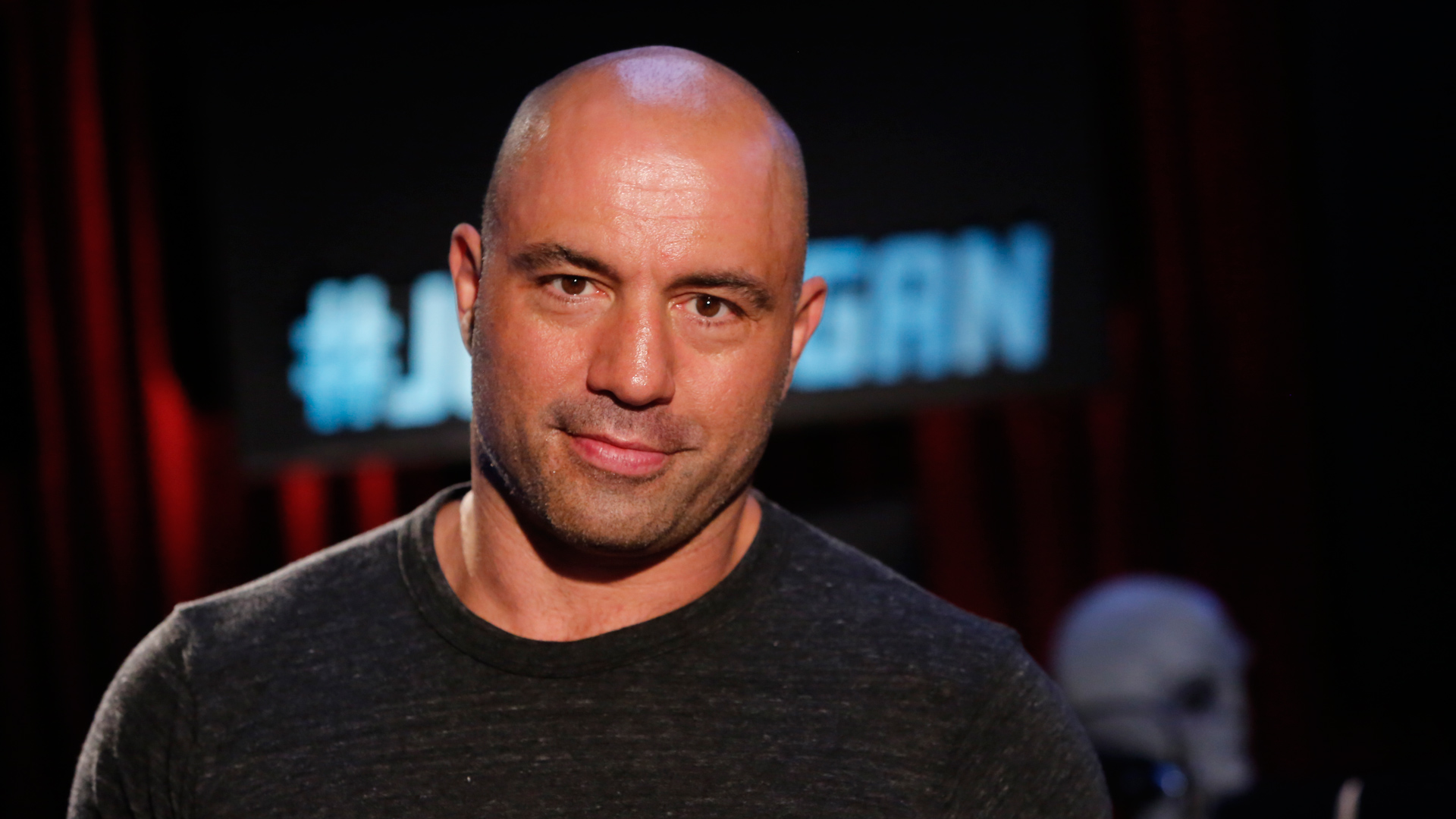 The Bald Icons: Who is Joe Rogan? | The Bald Brothers