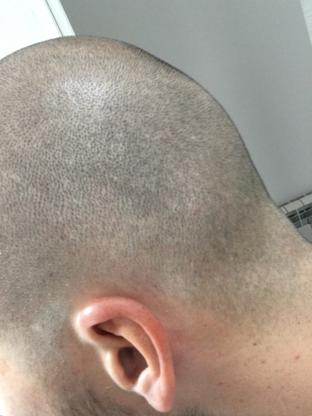 Boldking Review: Head Shaving with Boldking Razor The Best Experience Yet?